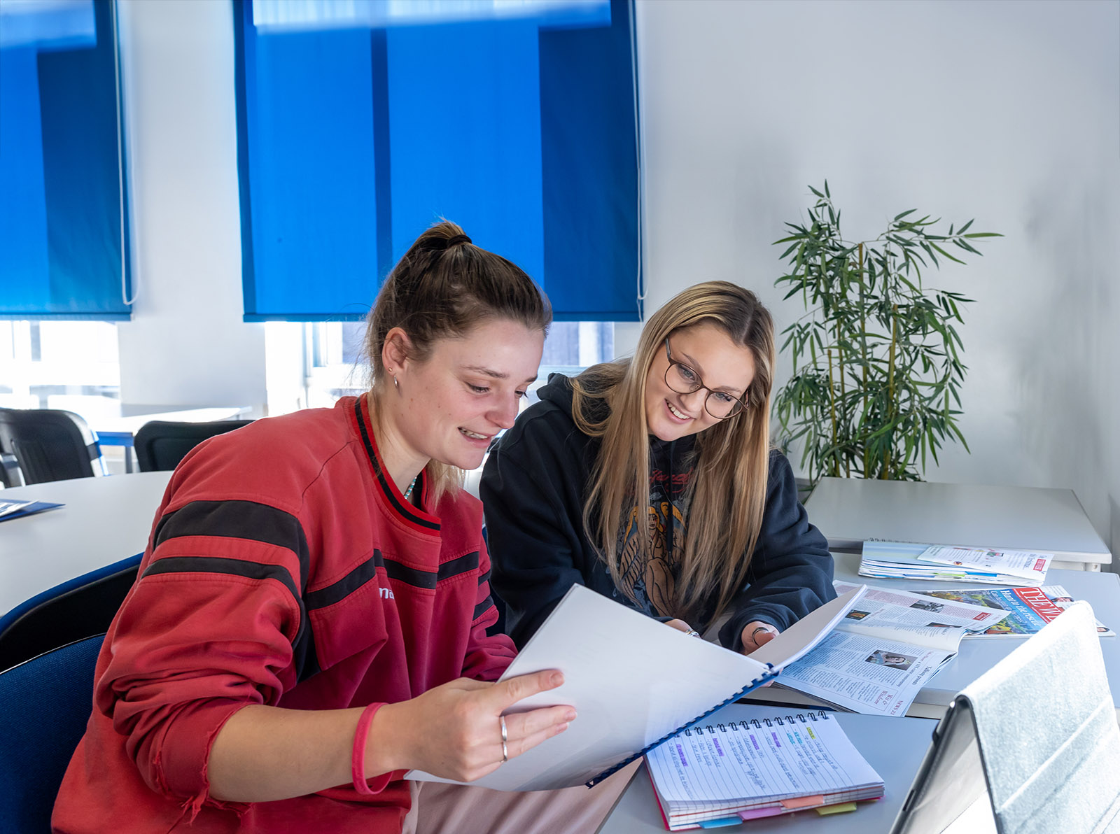 The Professional Business Diploma – A Great Alternative To University ...